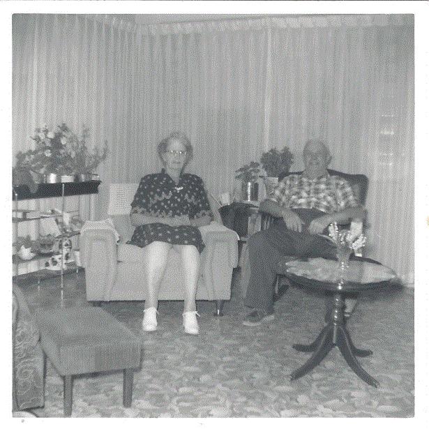 Harrison’s Trapeze – Well Water