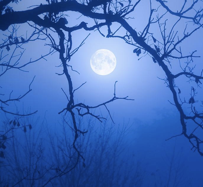 Blue Moon – Well Water