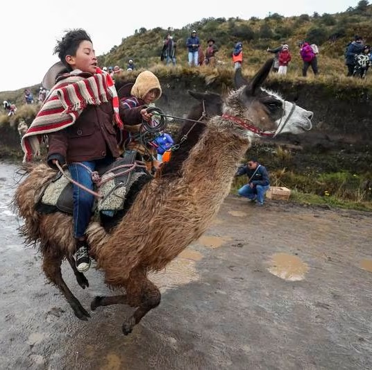 Llamingada – Well Water