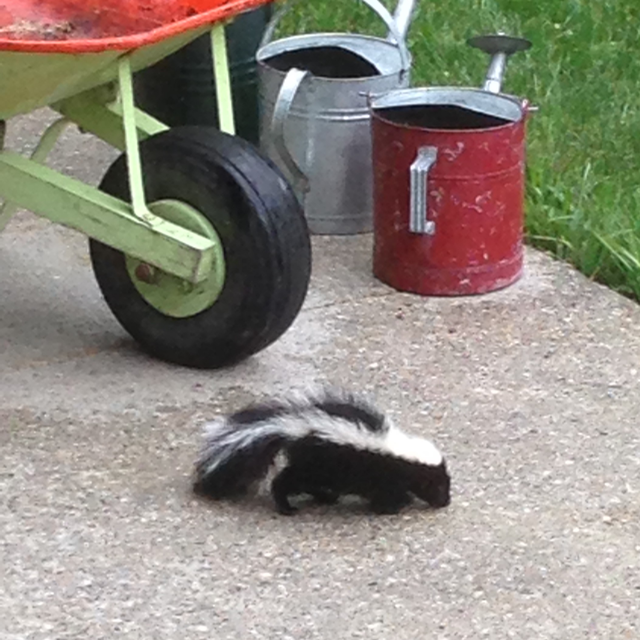 Right-of-Way – Well Water