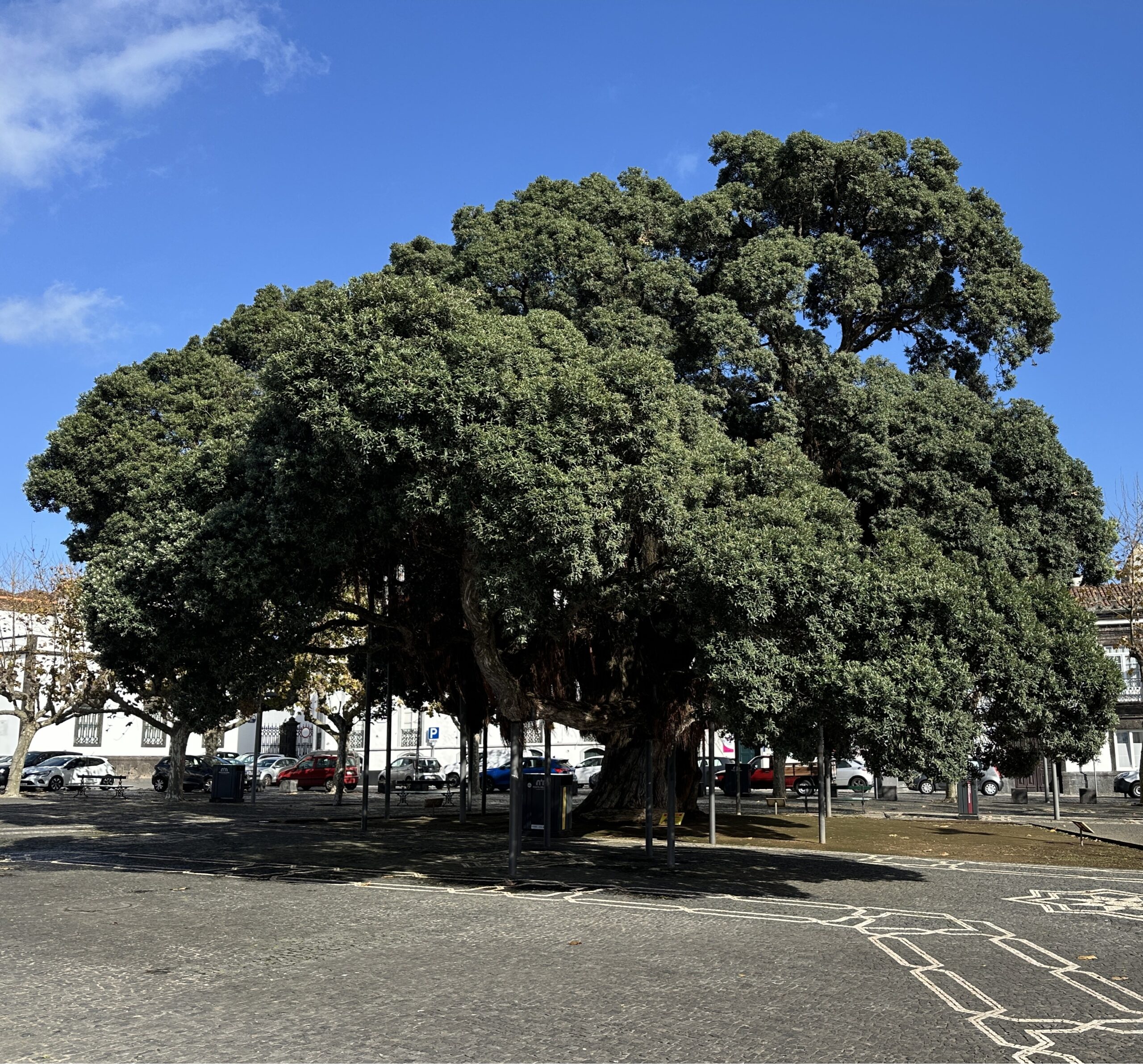 The Fortunate Isles – Well Water